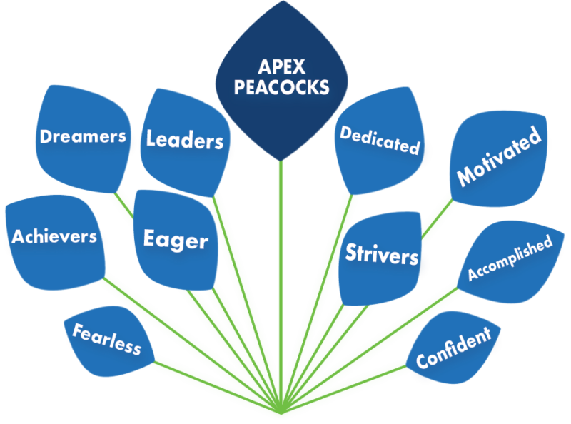 Saint Peter's University - APEX