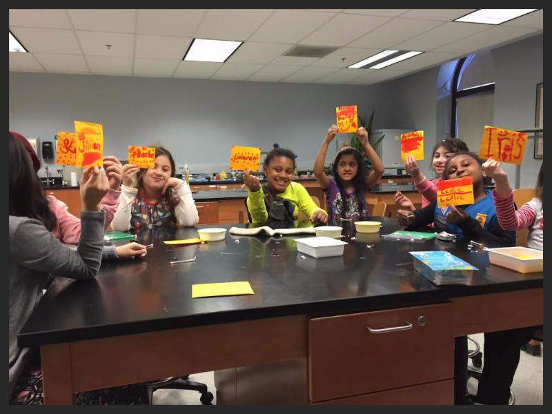 Girl Scouts Explore the Fun of Science with Saint Peter’s Chemistry ...