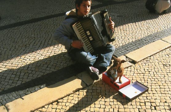 Gypsy boy in Lisbon, Portugal.